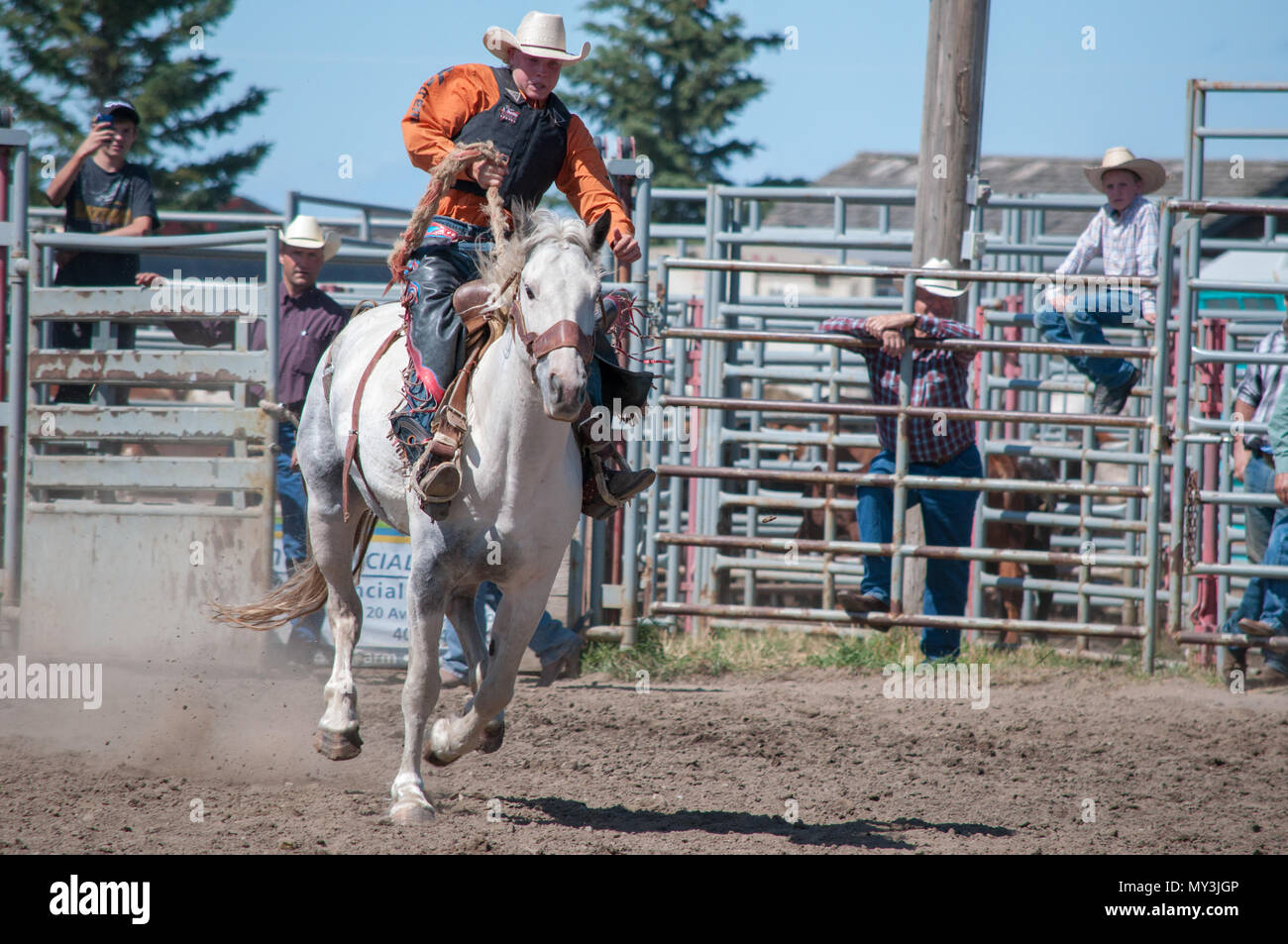 Amateur Saddlebronc rodeo competition. Nanton Nite Rodeo, Nanton ...