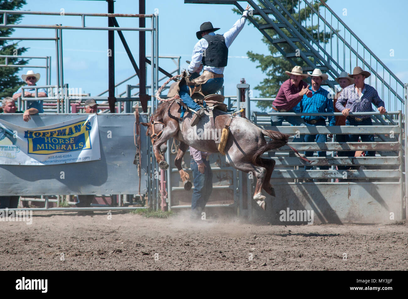 Amateur Saddlebronc rodeo competition. Nanton Nite Rodeo, Nanton ...