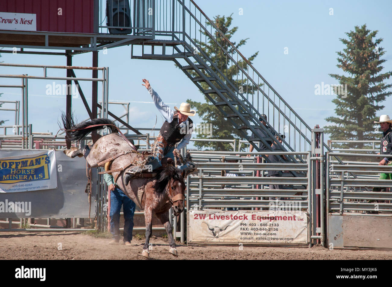 Amateur Saddlebronc rodeo competition. Nanton Nite Rodeo, Nanton ...