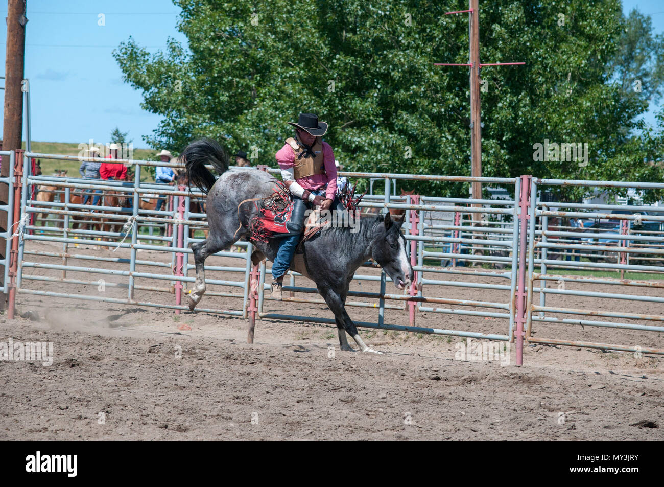 Amateur Saddlebronc rodeo competition. Nanton Nite Rodeo, Nanton ...