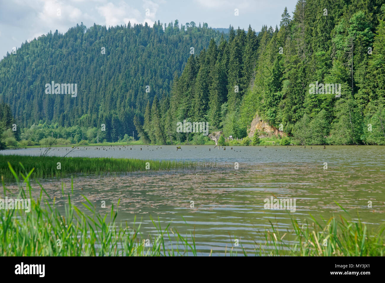 Road trip true the wonderful nature and landscape of Romania Stock ...