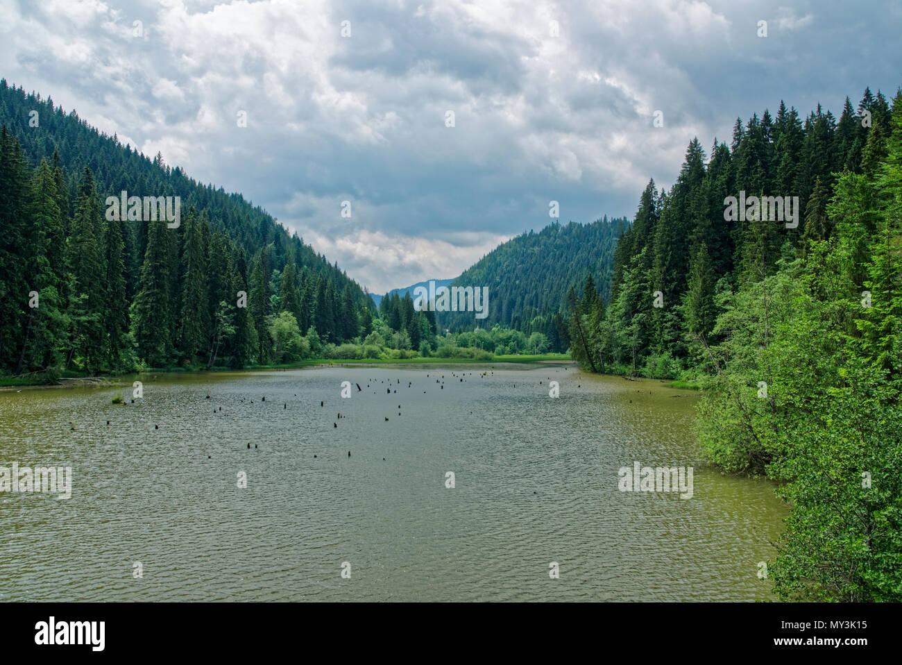 Road trip true the wonderful nature and landscape of Romania Stock ...