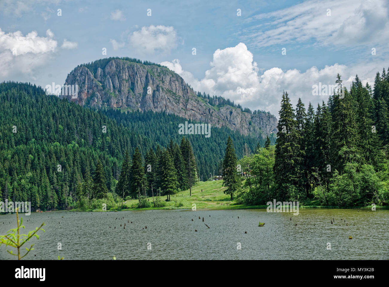 Road trip true the wonderful nature and landscape of Romania Stock ...