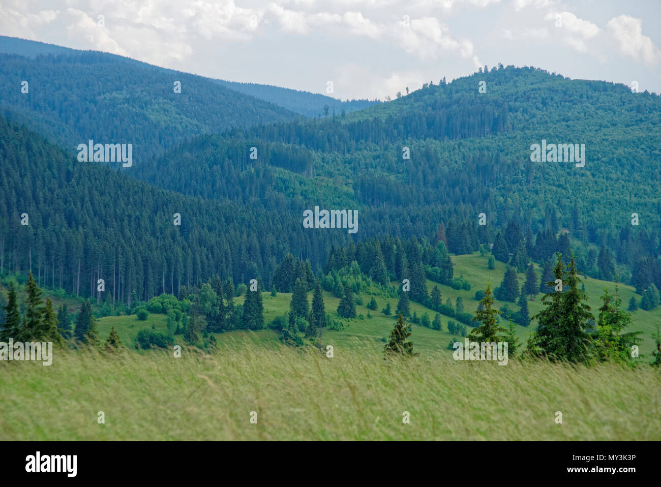 Road trip true the wonderful nature and landscape of Romania Stock ...