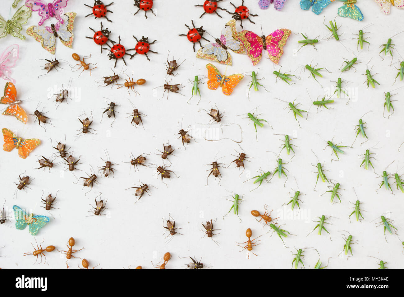 Chinese made plastic insects sold in seaside novelty shop, Llandudno ...