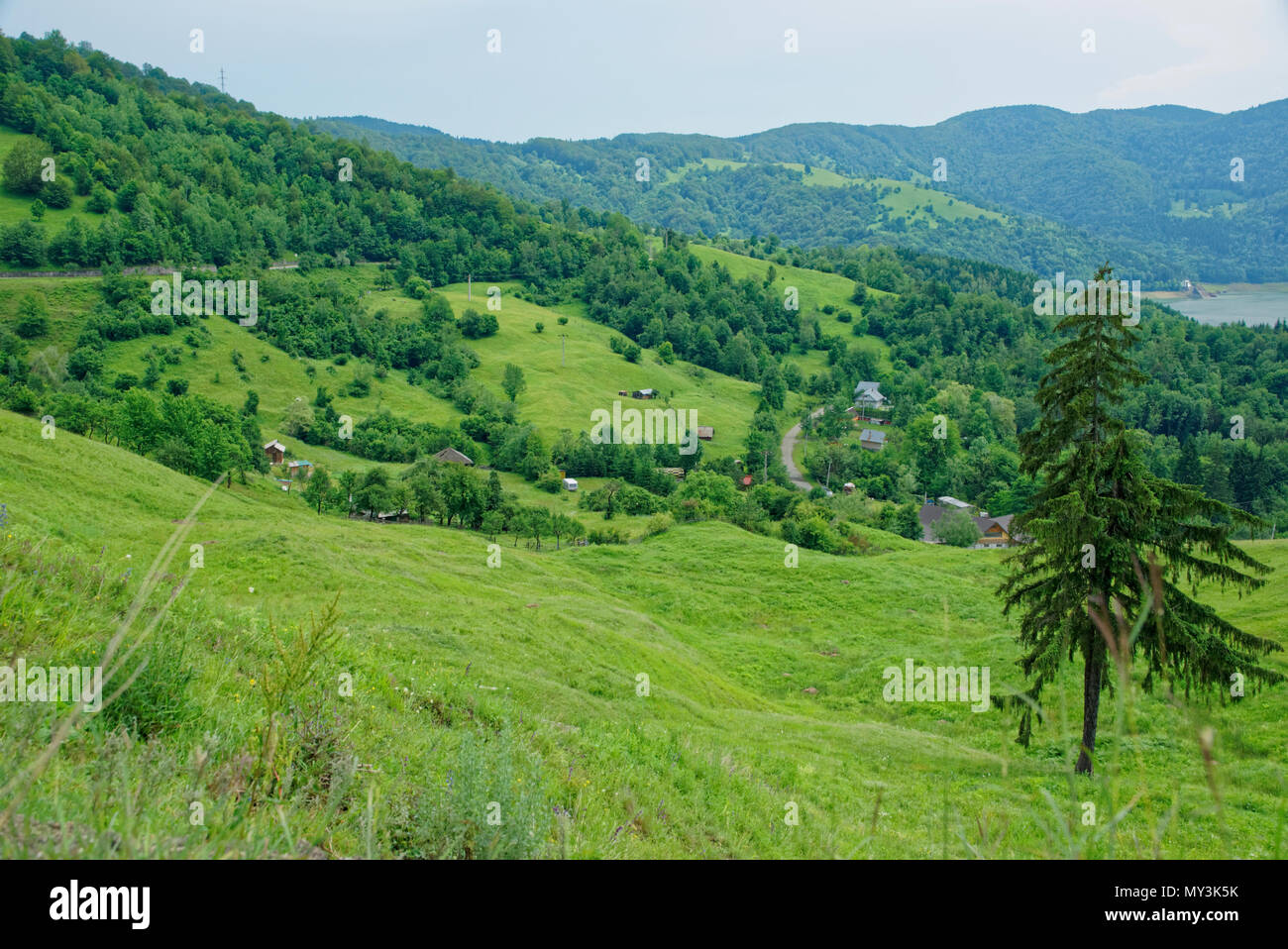 Road trip true the wonderful nature and landscape of Romania Stock ...