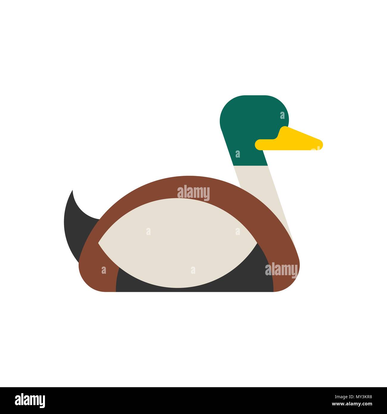 Drake duck male isolated. waterfowl bird Vector illustration Stock ... Drake duck male isolated. waterfowl bird Vector illustration Stock ...