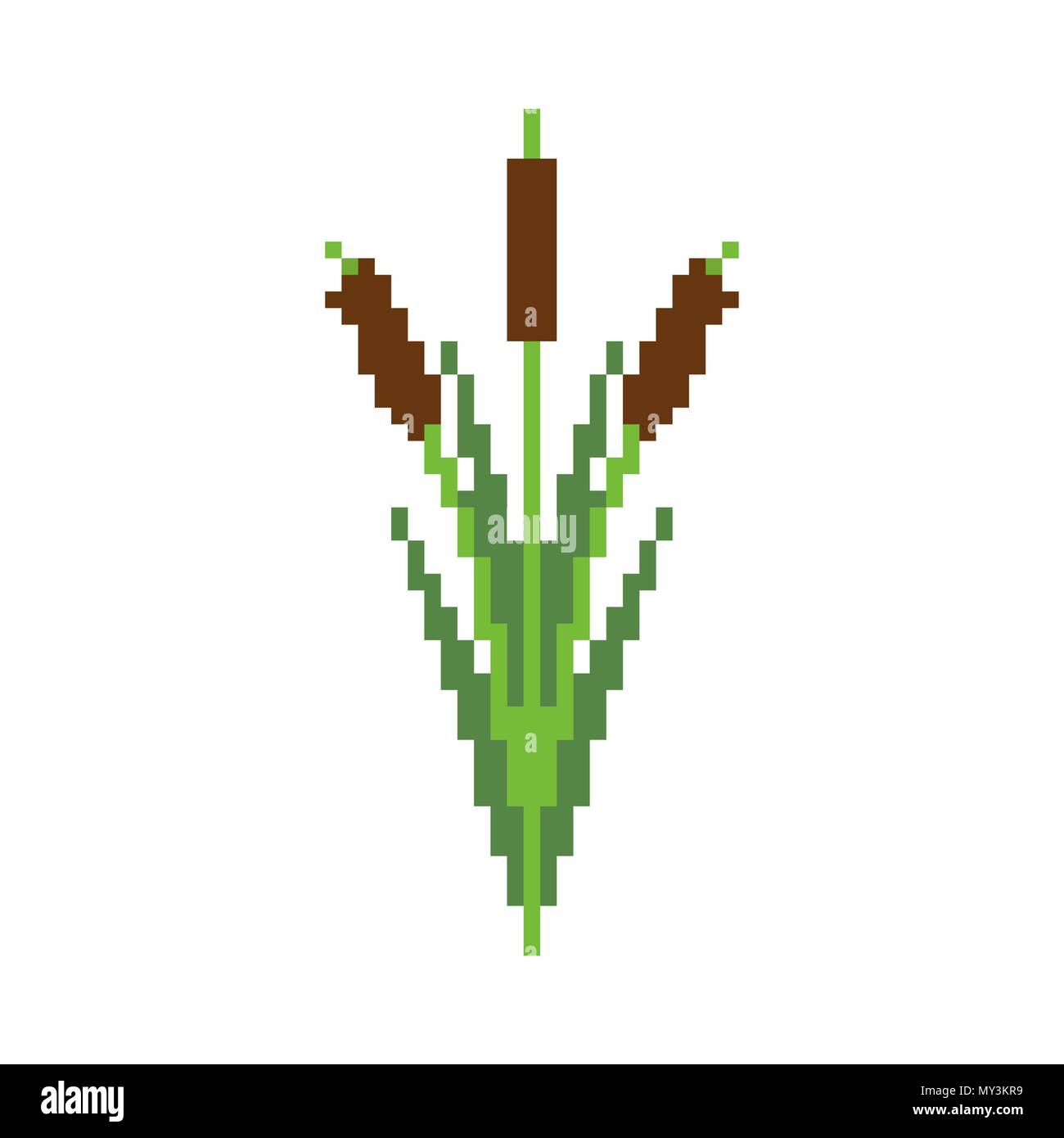 Reeds pixel art. Pond plant 8 bit. Vector illustration Stock Vector Image & Art - Alamy