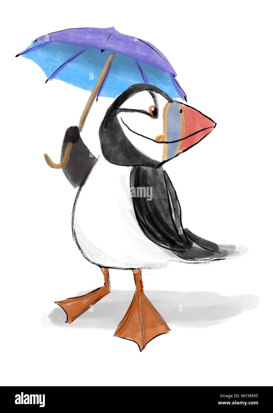 Puffin native hi-res stock photography and images - Alamy