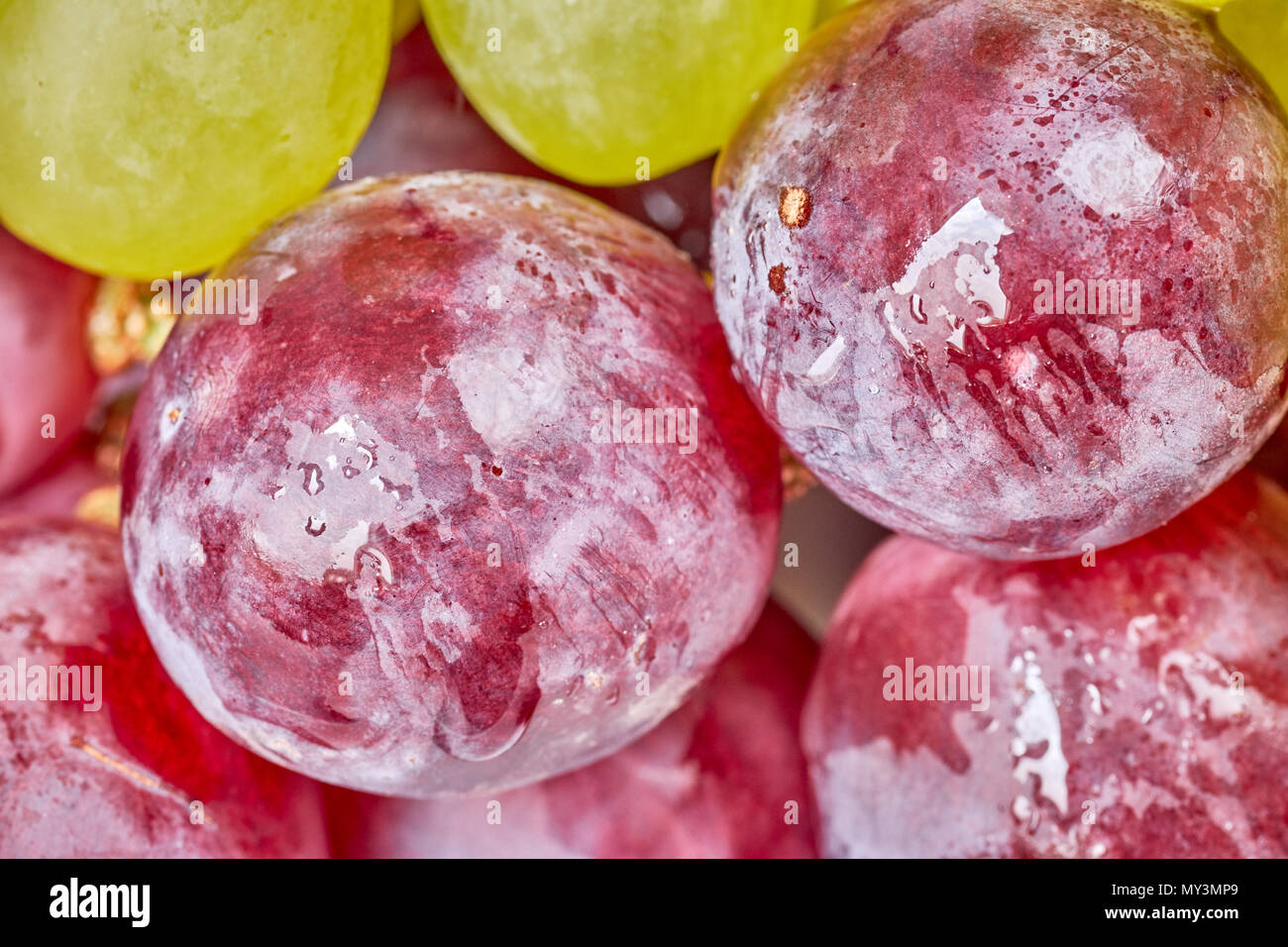 Close up picture of red grapes, selective focus Stock Photo - Alamy