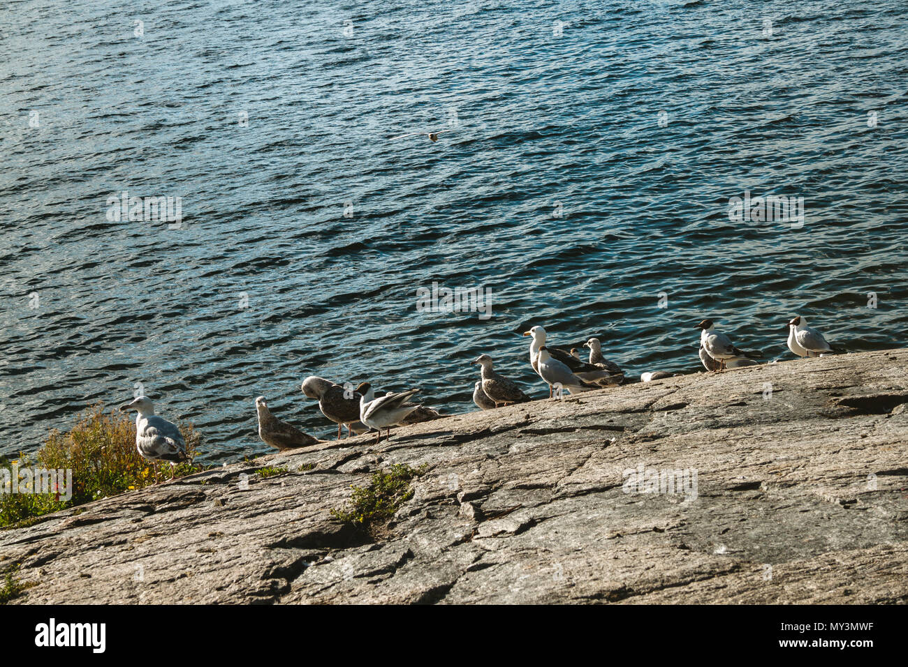 Cliff at lake hi-res stock photography and images - Alamy