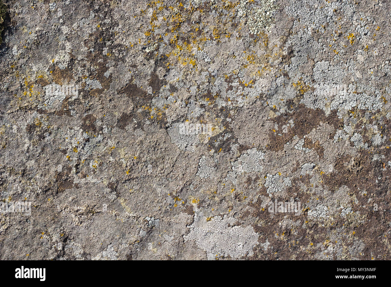 gray stone texture background with moss, close-up Stock Photo - Alamy