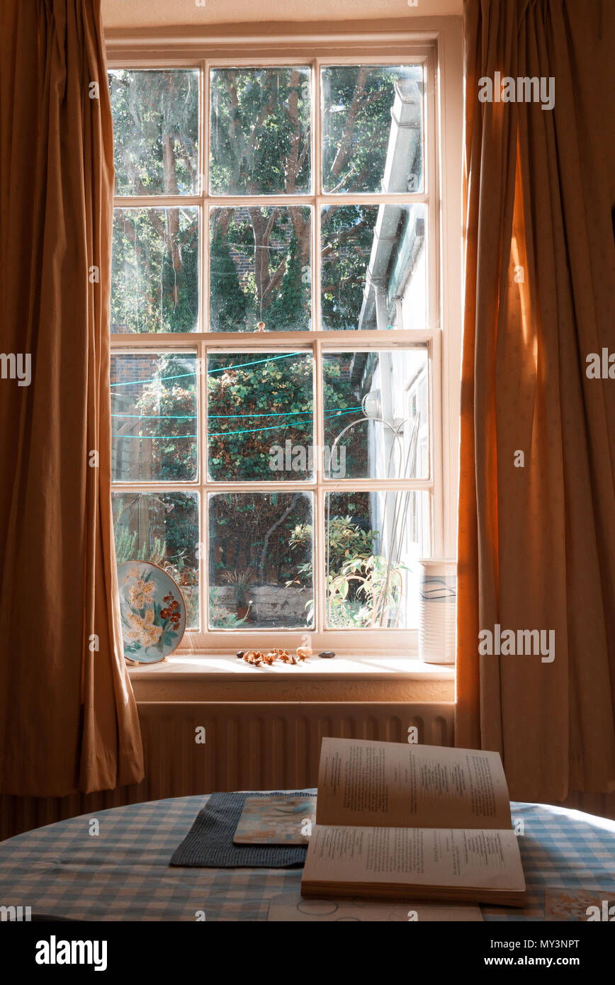 Afternoon sun shines through a window onto a house interior. A garden ...