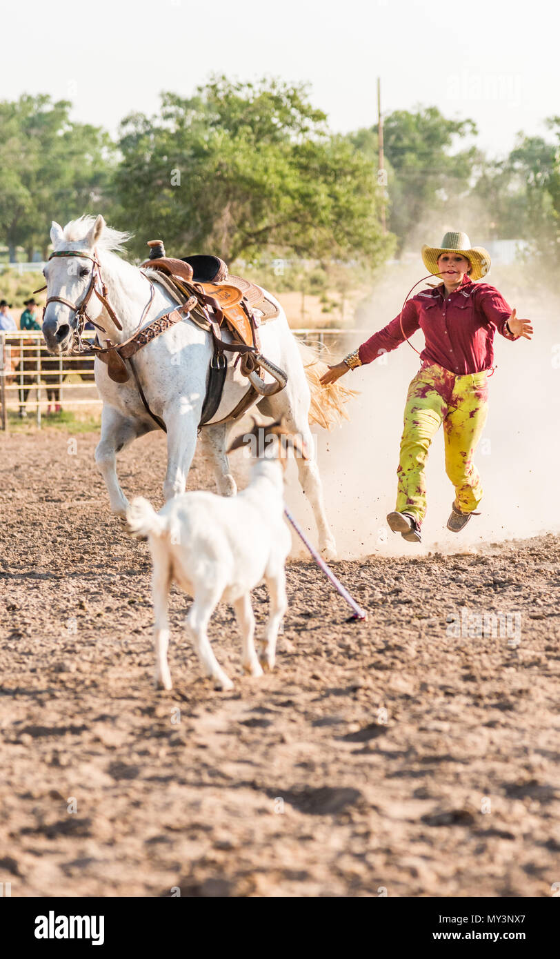 Cowgirl jumps off horse, action caught suspended in air, in preparation ...