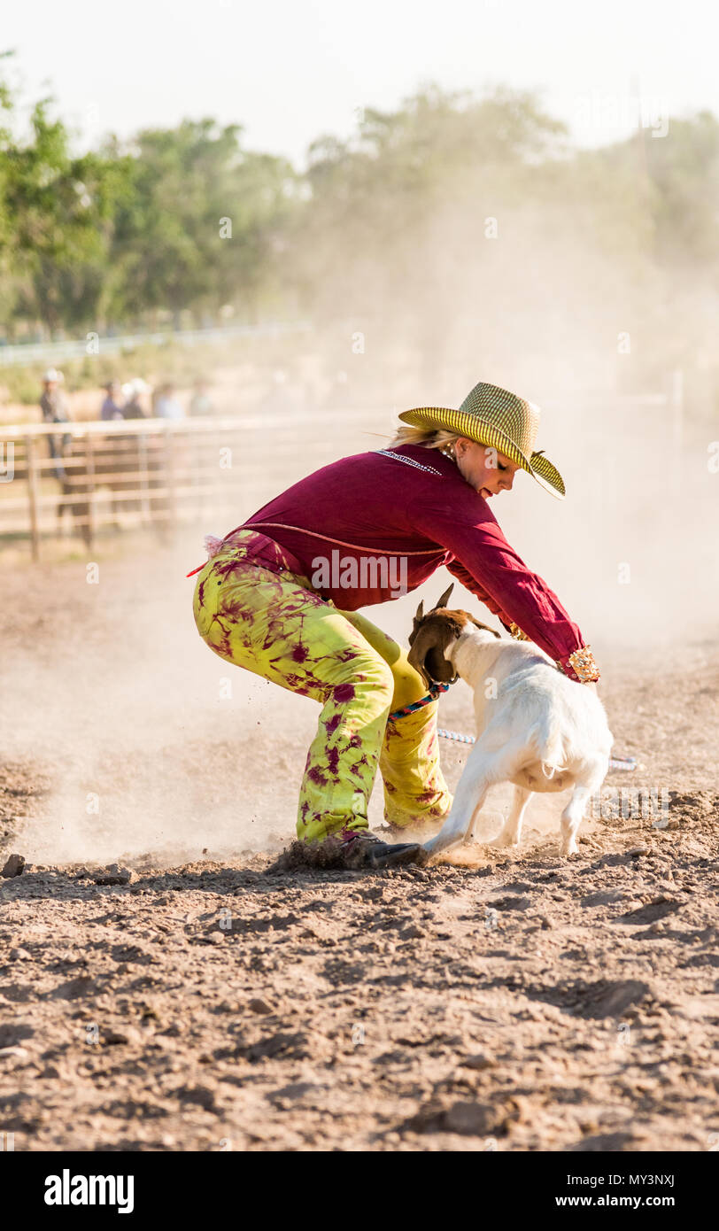 Cowgirl at rodeo goat roping event catches the goat Stock Photo - Alamy