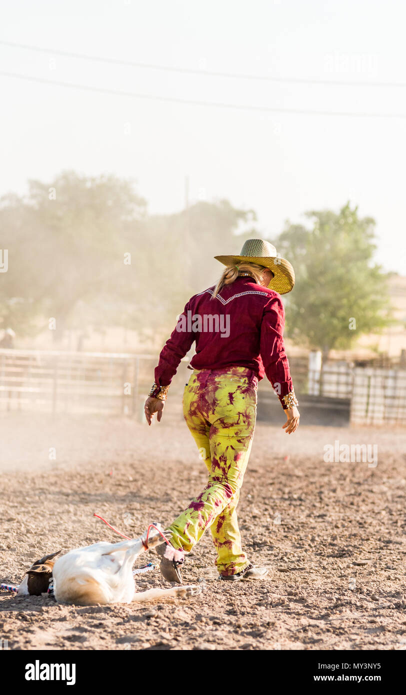 Cowgirl at rodeo goat roping event walks away in confidence after ...