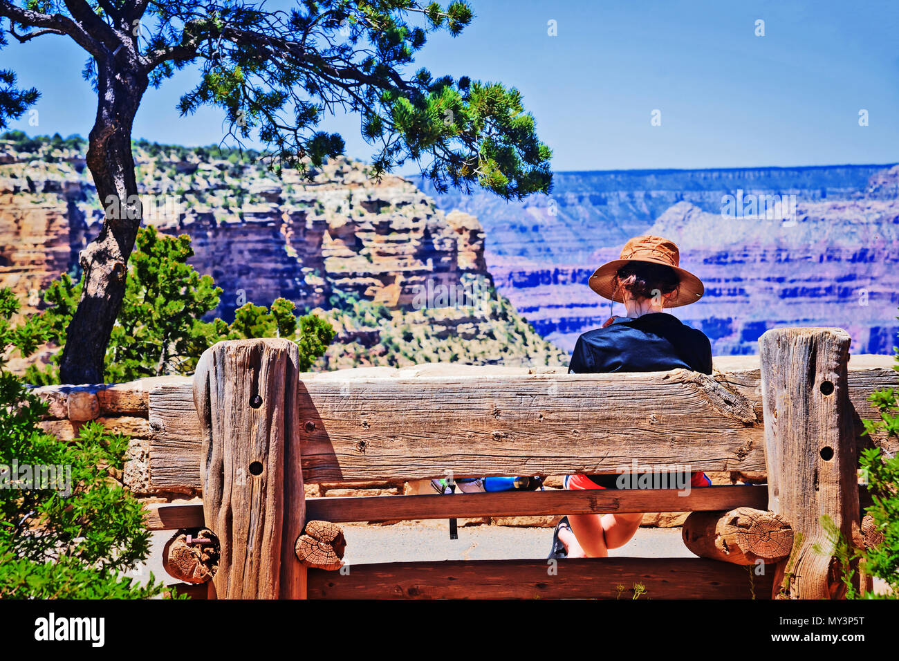 Tourist sitting on wooden bench in front of Grand Canyon landscape ...