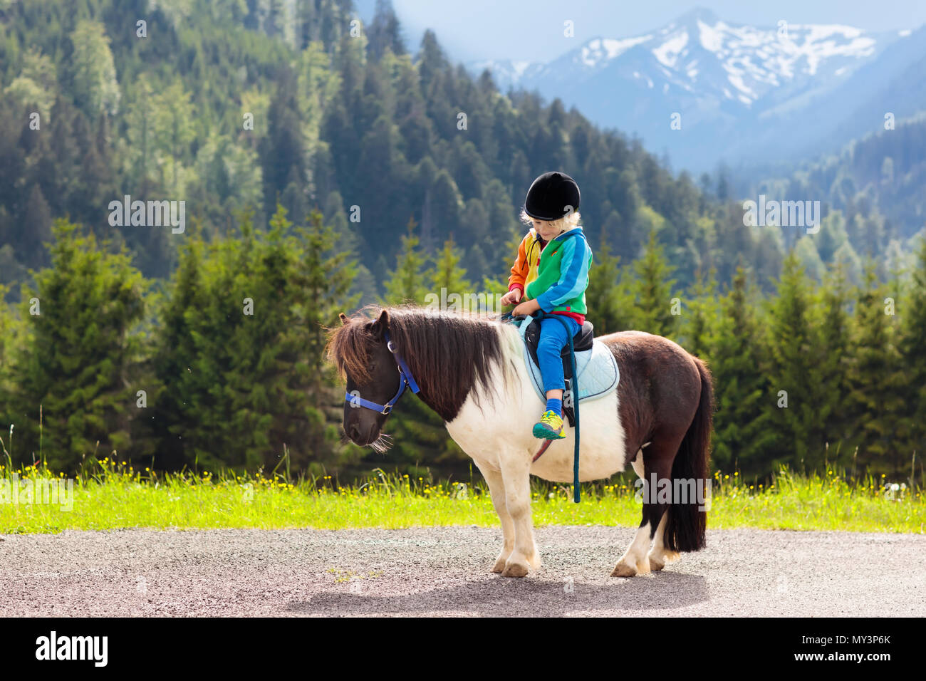 Kids riding pony in the Alps mountains. Family spring vacation on horse ...