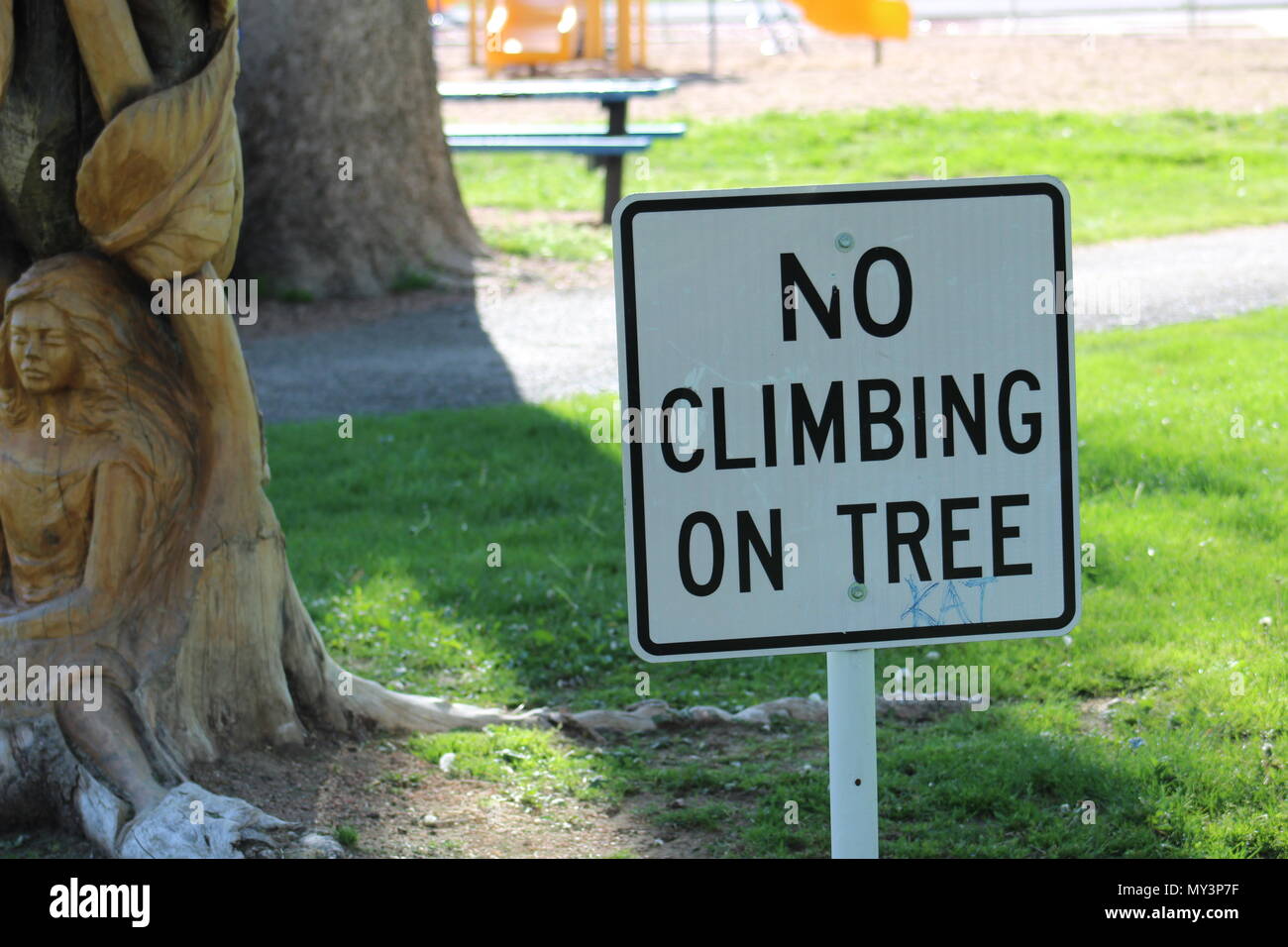 Sign No Climbing on Tree Carved Art Stock Photo - Alamy