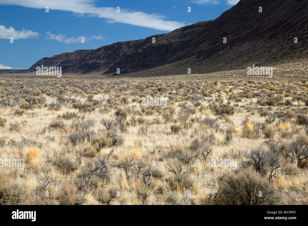Guano valley hi-res stock photography and images - Alamy