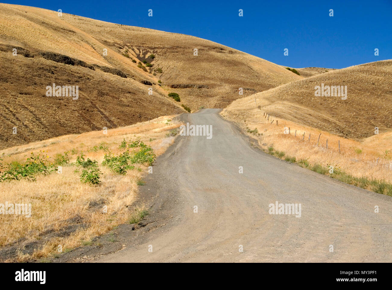 Washington countryside hi-res stock photography and images - Alamy