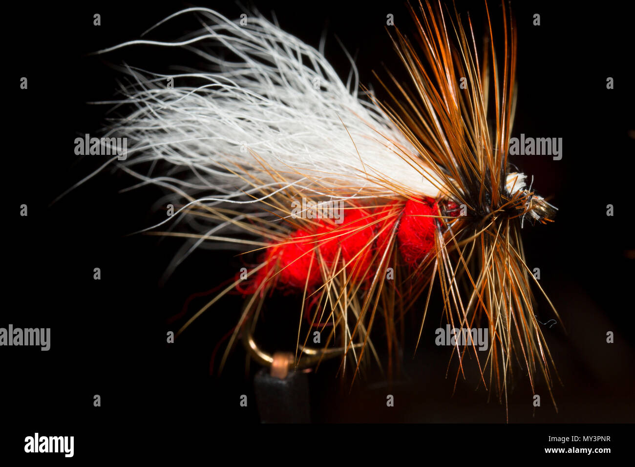 Lure fly fishing hi-res stock photography and images - Alamy