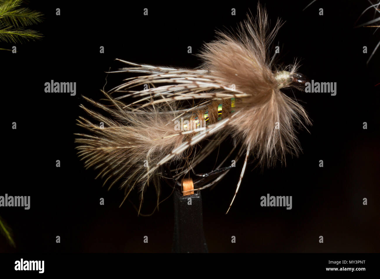 Lure fly fishing hi-res stock photography and images - Alamy