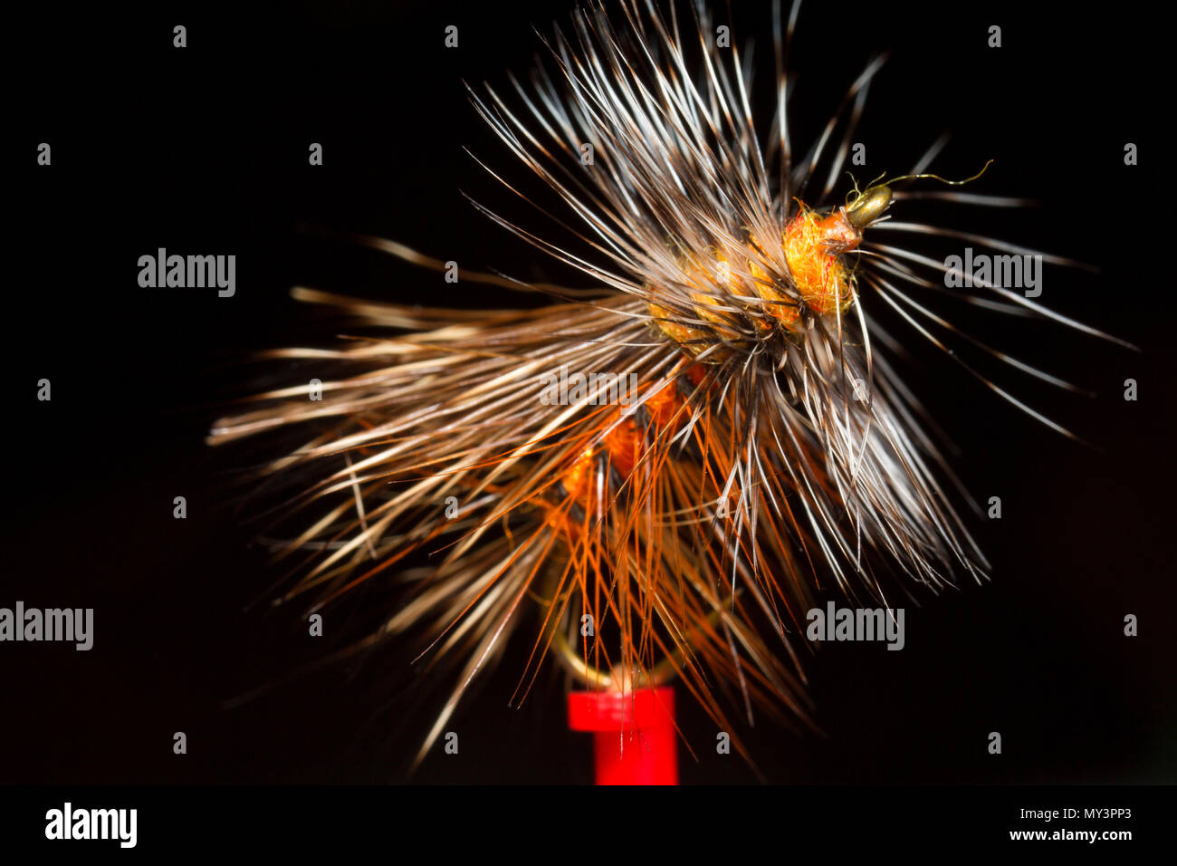 Fishing dry fly hi-res stock photography and images - Alamy
