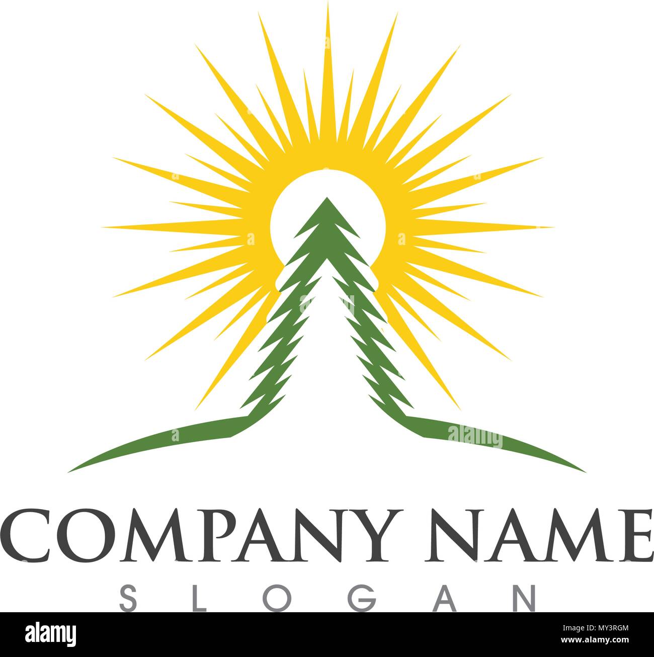 Cedar tree Logo template vector icon illustration design Stock Vector ...
