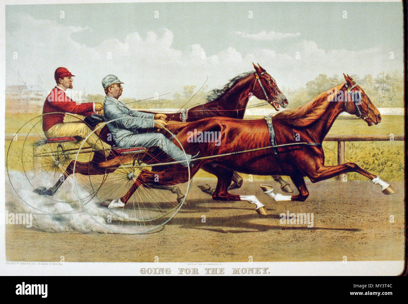 Cameron Harness's Instagram, Twitter & Facebook on IDCrawl