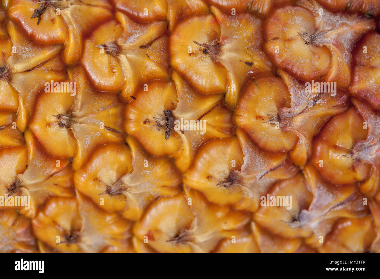 Fresh ripe pineapple texture, close up view macro Stock Photo - Alamy