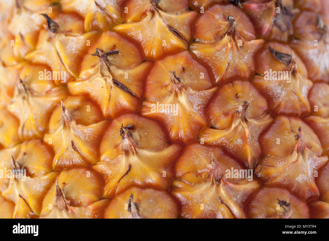 Fresh ripe pineapple texture, close up view macro Stock Photo - Alamy