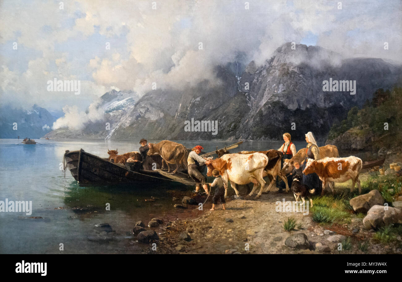 Anders askevold fjord landscape with cattle hi-res stock photography ...