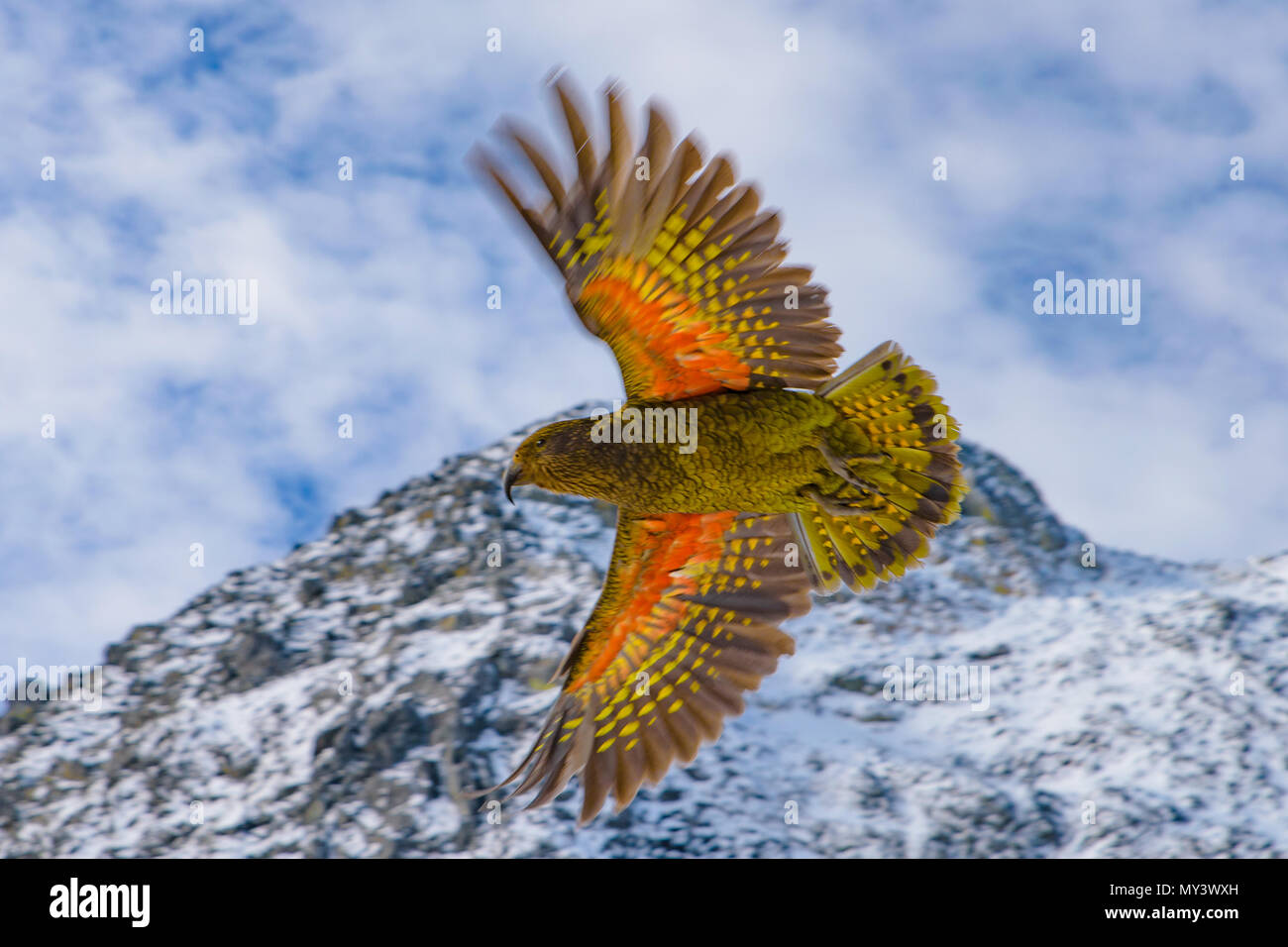 Fiordland national park and new zealand hi-res stock photography and ...