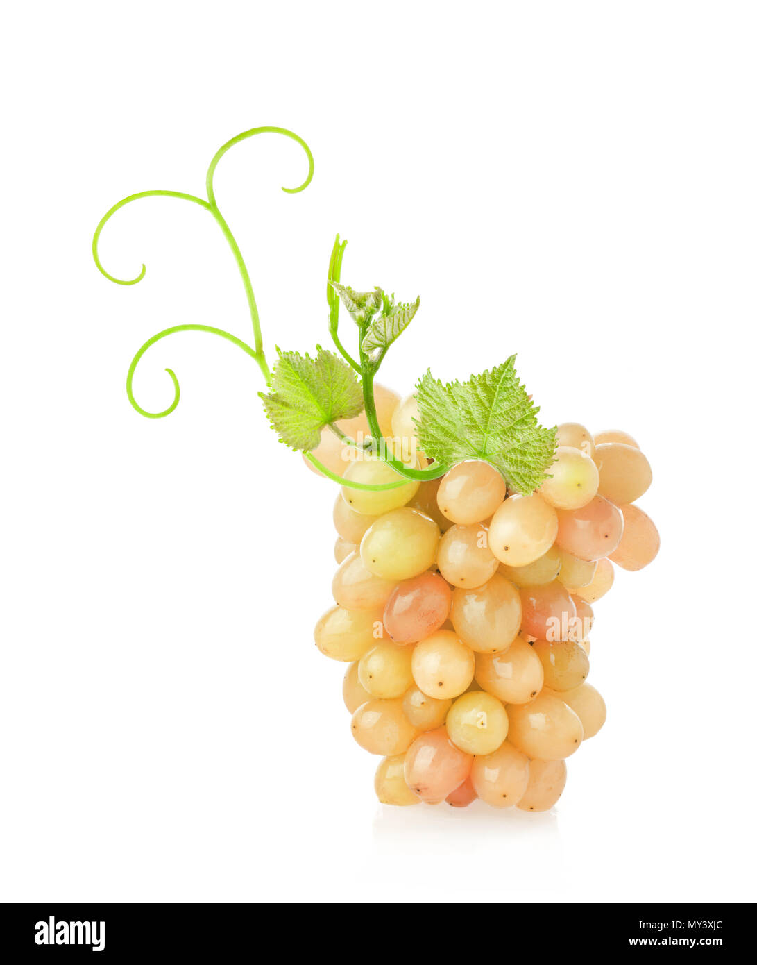 Ripe grapes with leaves isolated on white Stock Photo - Alamy