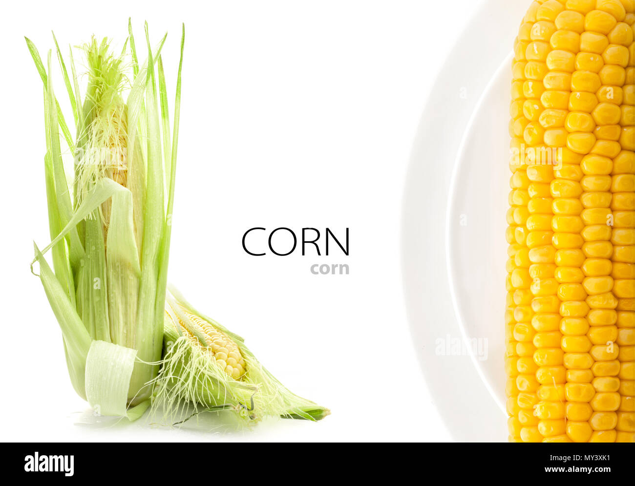 Corn on white background Stock Photo - Alamy