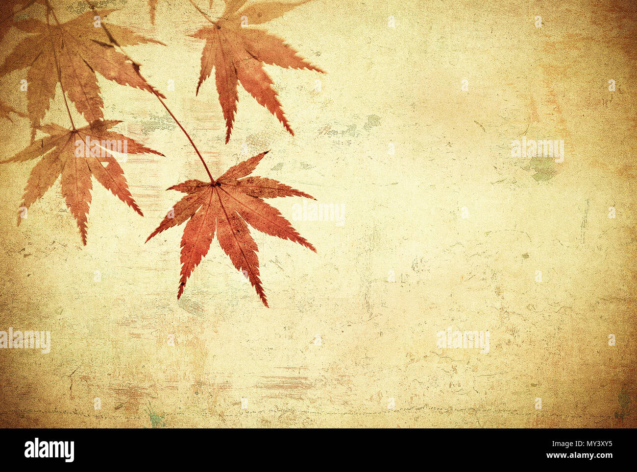 grunge background with autumn leaves Stock Photo - Alamy