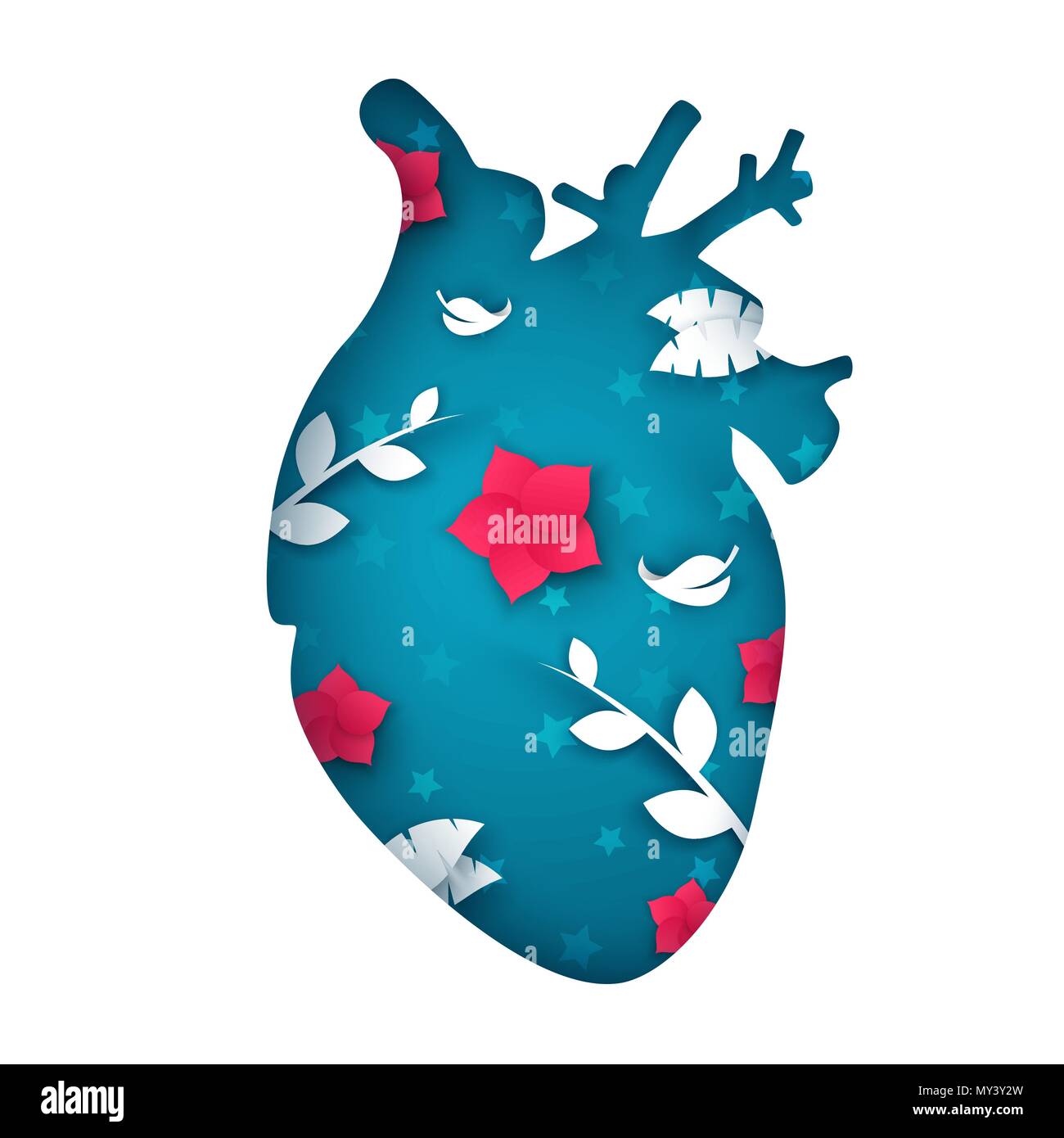 Vintage medical illustration Cut Out Stock Images & Pictures - Alamy