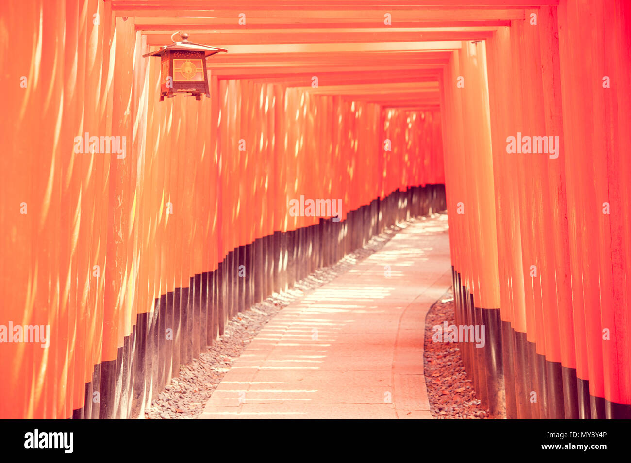Torii tori gate door hi-res stock photography and images - Alamy