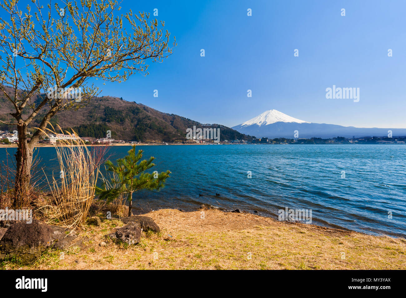 Fujisan , Mount Fuji view from Kawaguchiko lake, Japan Stock Photo - Alamy