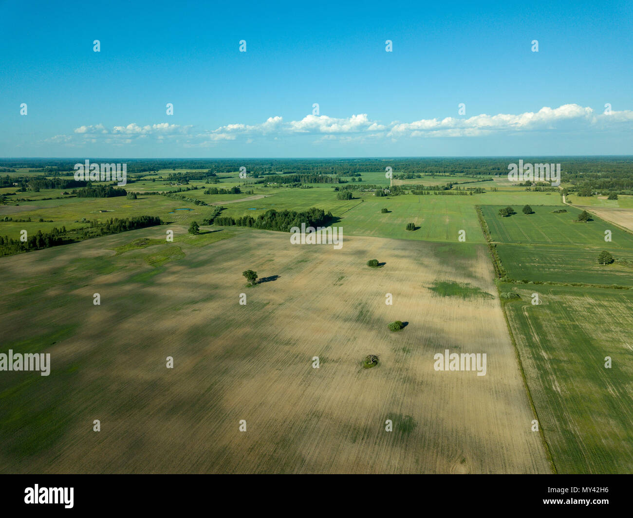 drone image. aerial view of empty cultivated fields spring day. latvia ...
