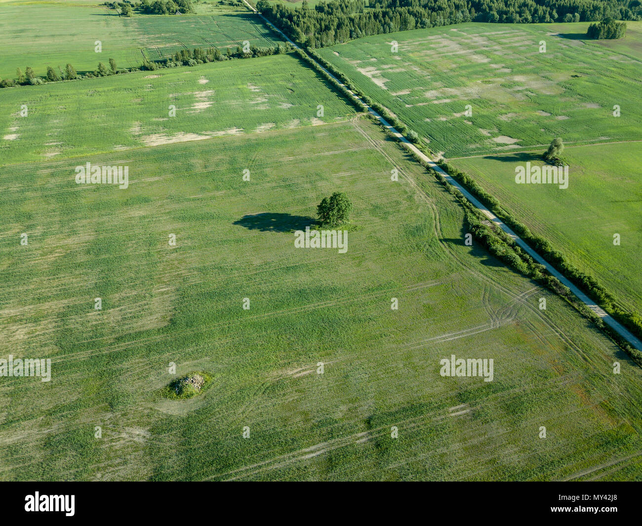 drone image. aerial view of countryside road network, cultivated fields ...