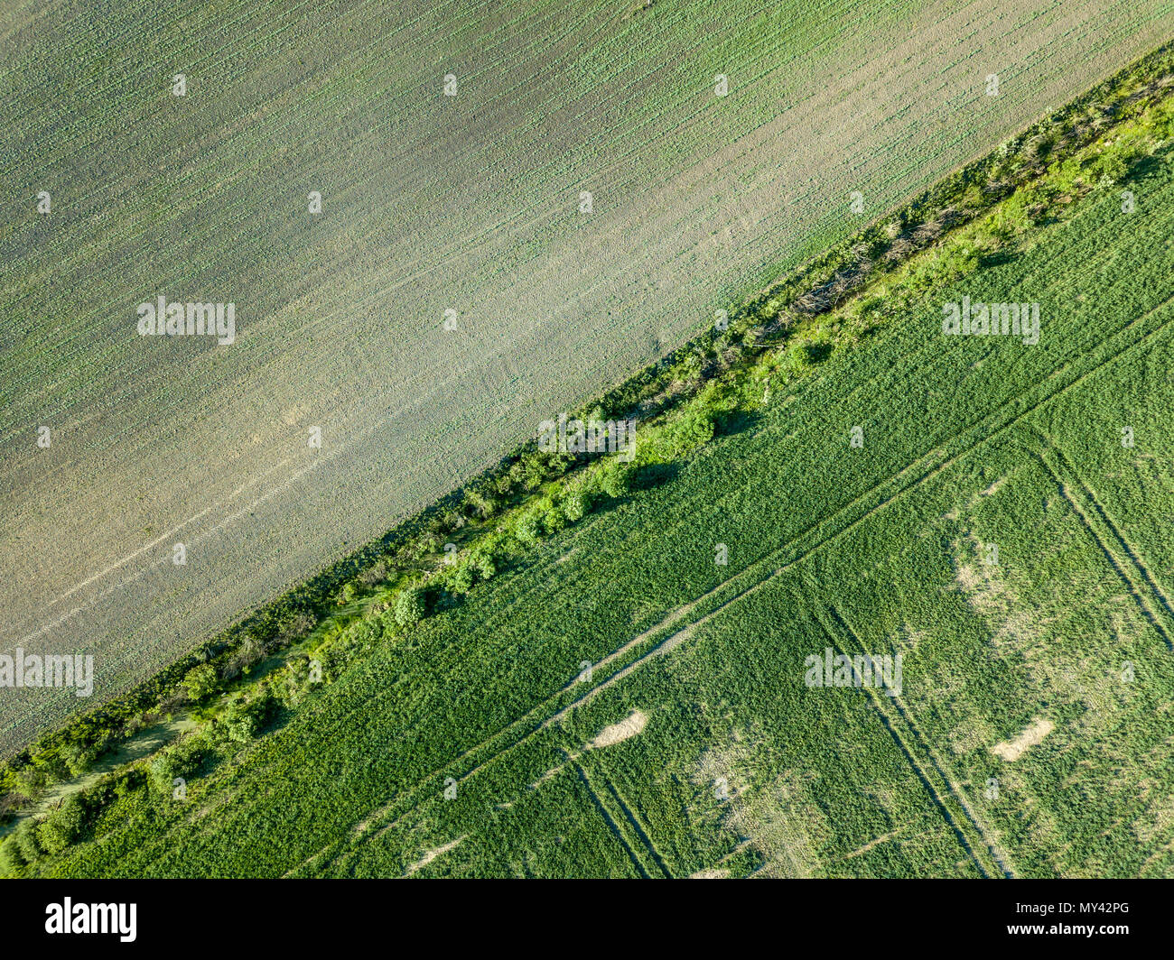 drone image. aerial view of countryside road network, cultivated fields ...