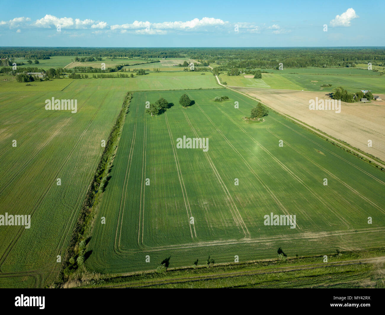 drone image. aerial view of empty cultivated fields spring day. latvia ...