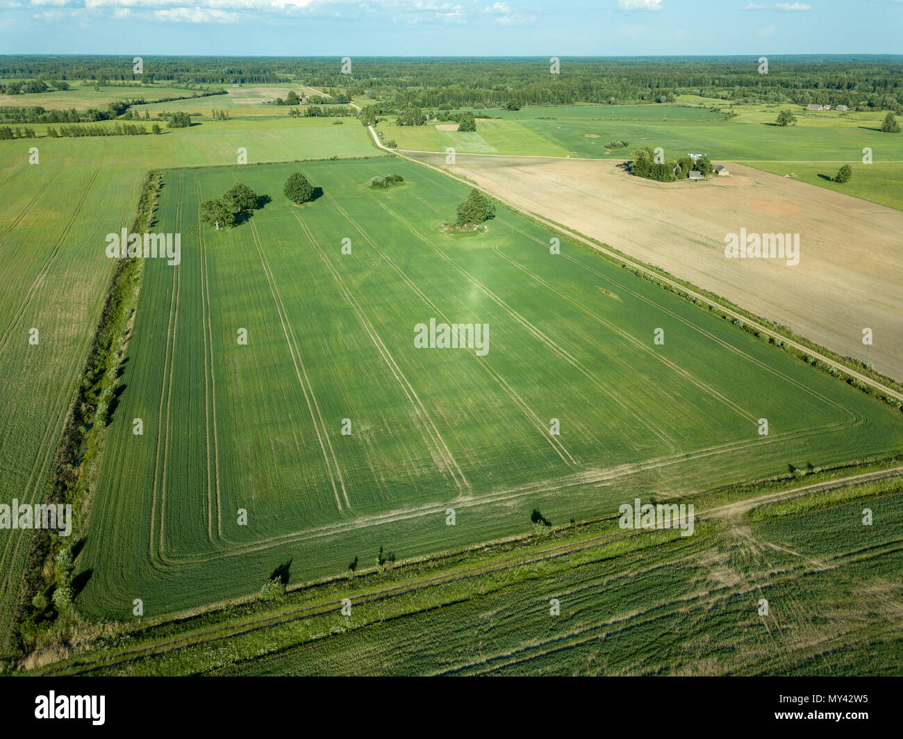 drone image. aerial view of empty cultivated fields spring day. latvia ...