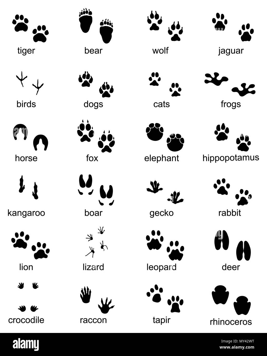 Boar Footprint High Resolution Stock Photography and Images - Alamy