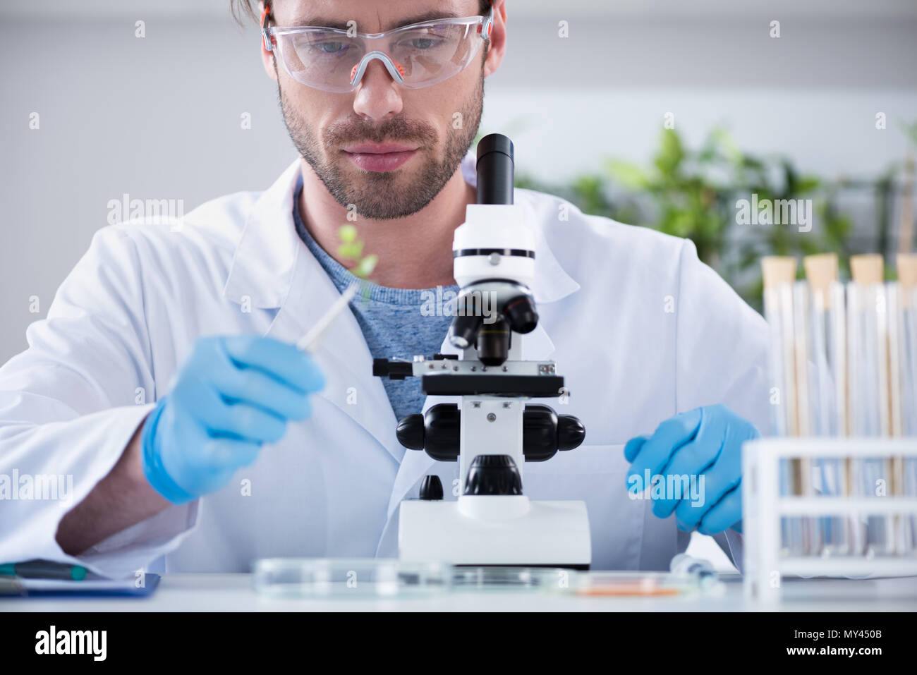Male scientist during work at modern biological laboratory Stock Photo ...