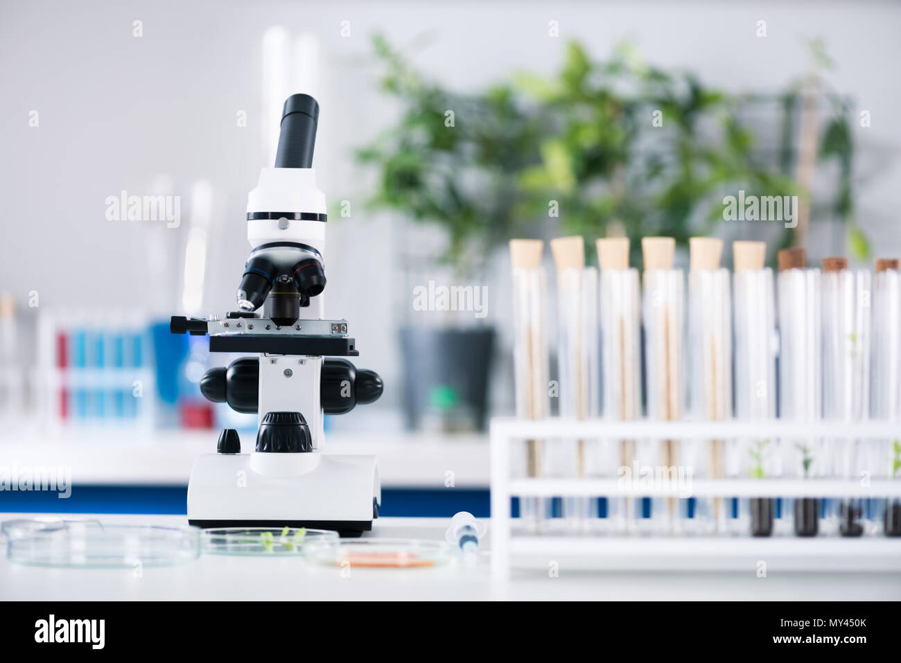 Scientific tools at workplace in modern biological laboratory Stock ...