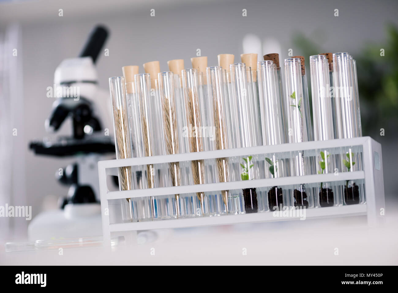 Scientific tools at workplace in modern biological laboratory Stock ...