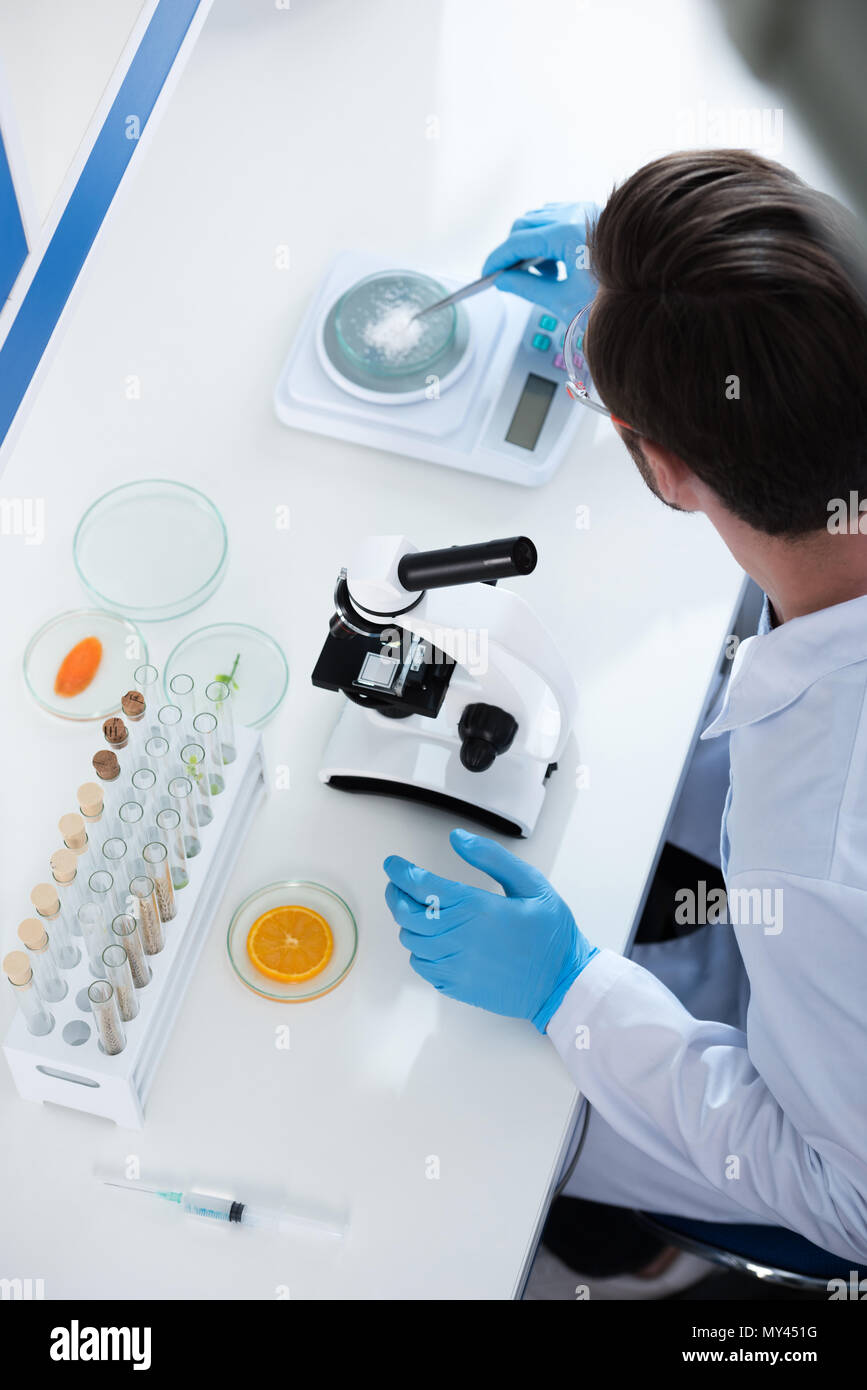Male scientist during work at modern biological laboratory Stock Photo ...
